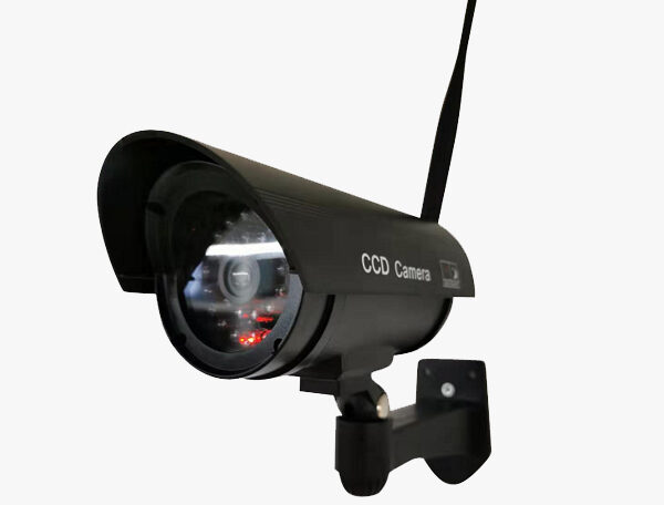 360 Degree Camera - Eagle Protection of California